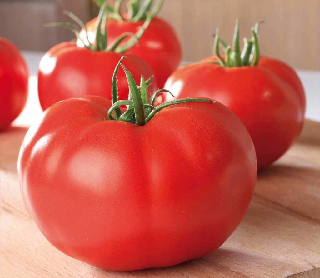 Tomate Supersteack – Les Serres des Champs Galottes